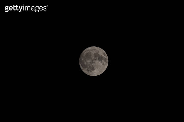 Moonlit Embrace: Telephoto Reverie in Nocturnal Stillness. 이미지 ...