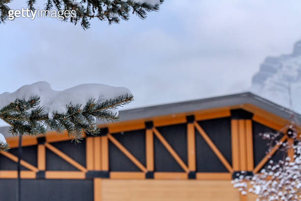 Outcropped eave on a wooden building with snow covered evergreen tree ...