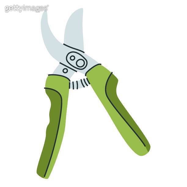 Secateurs pruner flat icon for web. Simple pruners vector design. Green pruning shears, garden ...