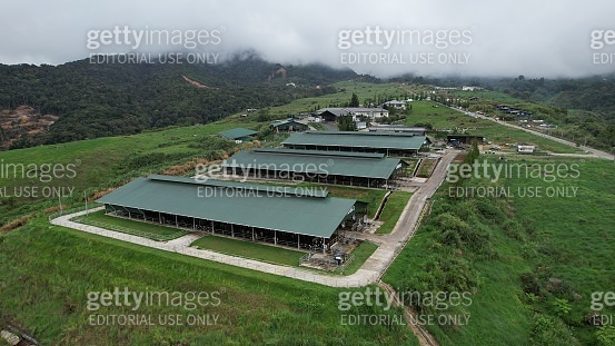 Aerial View of The Desa Dairy Cattle Farm (2155865783) - 게티이미지뱅크