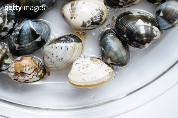 clam shell in salt water. sand removal from clams in a plate. 이미지 ...