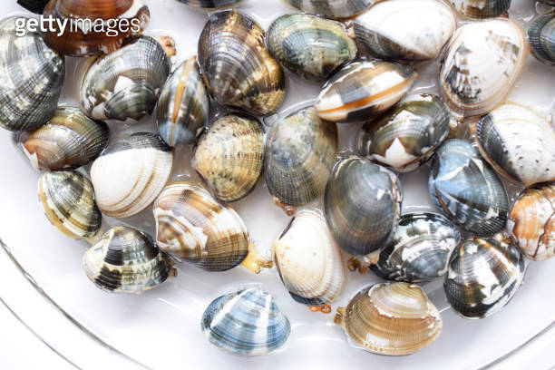 clam shell in salt water. sand removal from clams in a plate. 이미지 ...