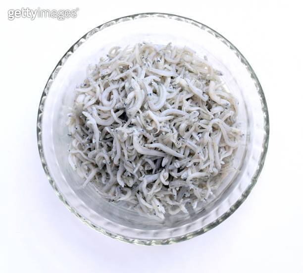 Boiled whitebait on a dish. Japanese seafood. (2024479725) - 게티이미지뱅크