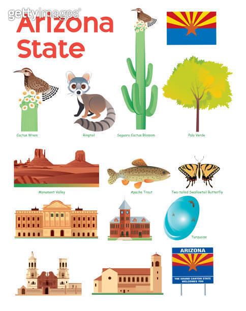 Arizona State Symbols 이미지 (1909041257) - 게티이미지뱅크