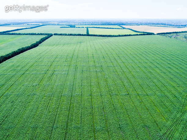 agriculture field from above 이미지 (1899484129) - 게티이미지뱅크