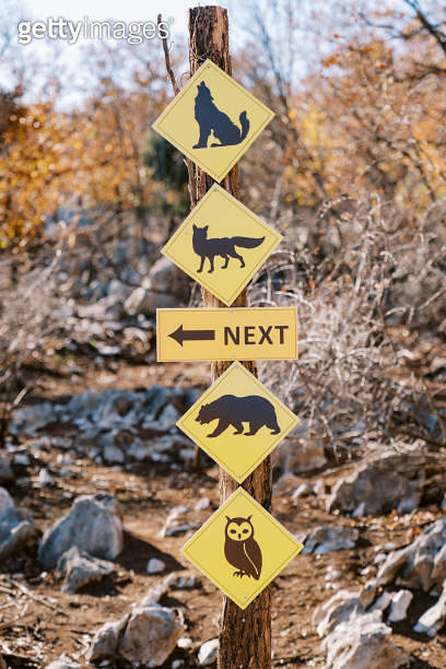 Diamond-shaped yellow signs with pictures of animals hang on a pole in ...