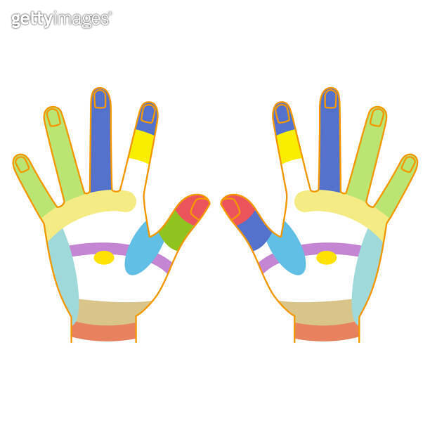 Reflexes on the back of the hand and hand pressure points Illustration ...