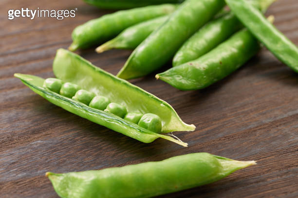 Image of green peas, beans harvested in spring 이미지 (2149350573) - 게티이미지뱅크