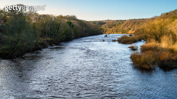 The River Tyne at Wylam from Hagg Bank Bridge 이미지 (2099120402) - 게티이미지뱅크