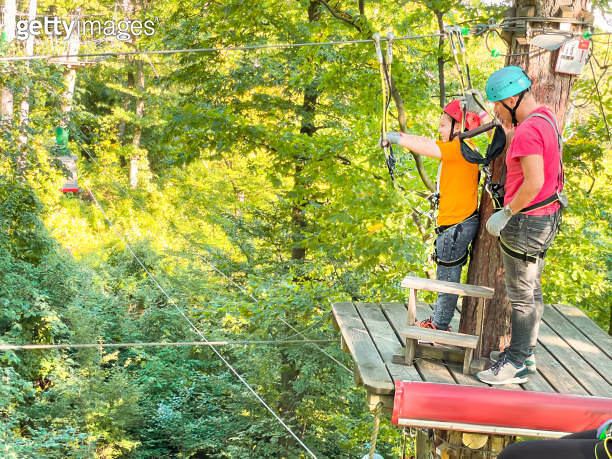 people walks rope bridge between trees in amusement park in safety gear ...