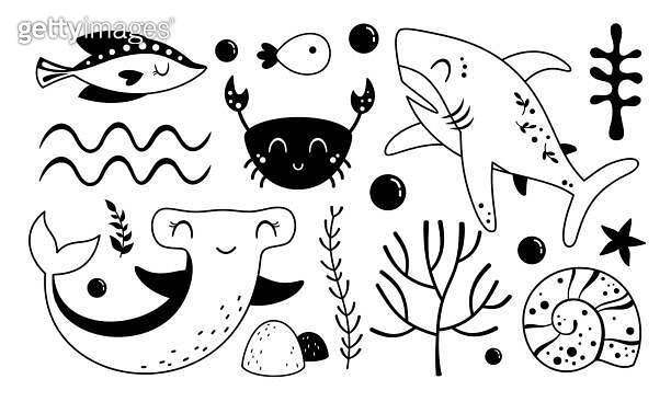 Black and white sea animal clipart. Ocean clipart in cartoon flat style ...