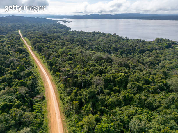 Trans-Amazonian highway through the Amazon rainforest 이미지 (2154532127 ...