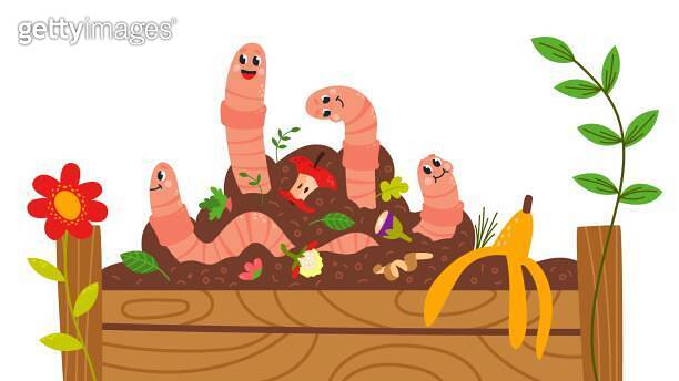 Worms and compost. Cute earthworms in garden soil with organic waste ...