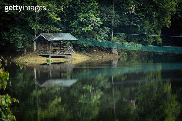 Beautiful nature of Borneo rainforest suspension bridge over the lake ...