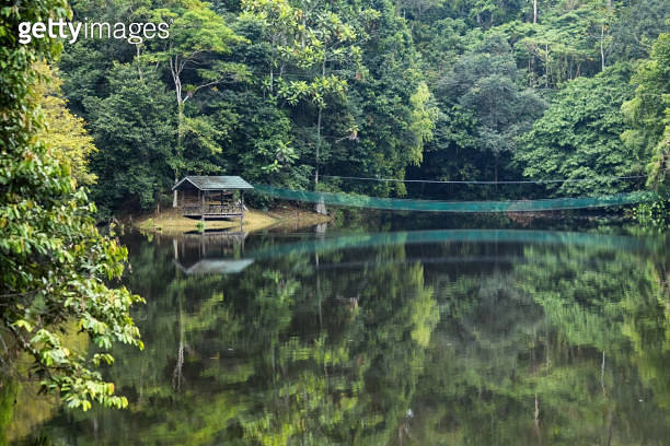 Beautiful nature of Borneo rainforest suspension bridge over the lake ...