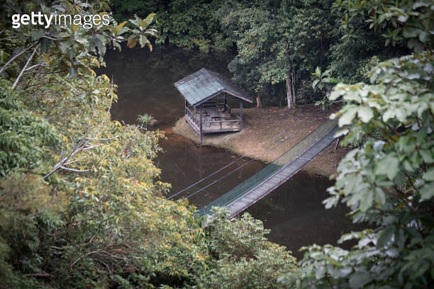Beautiful nature of Borneo rainforest suspension bridge over the lake ...