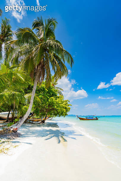 Koh Muk Beach View with long-tail boats on beautiful sandy beach in ...