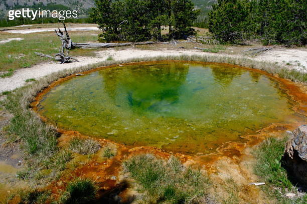 green hot spring thermal pool in Yellowstone National Park, USA ...