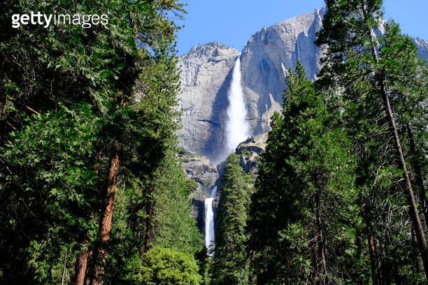Yosemite Falls waterfall (All three falls) and green trees in Yosemite ...