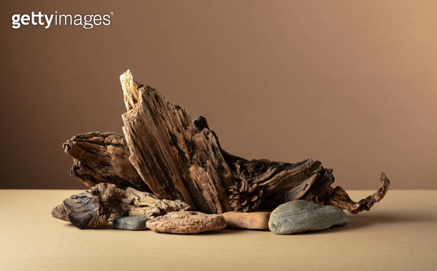 Abstract nature scene with a composition of stones and dry snags. 이미지 ...