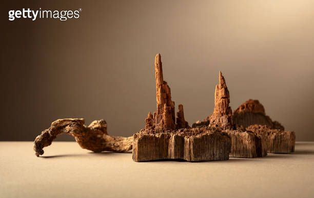 Abstract nature scene with a composition dry snags. 이미지 (2154531247 ...