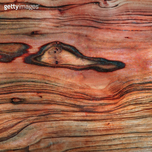 Beautiful wood grain. Wood background. Wood grain pattern texture ...