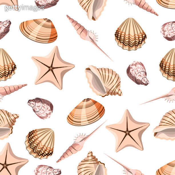 Seamless pattern of seashells on a white background.Vector pattern for ...