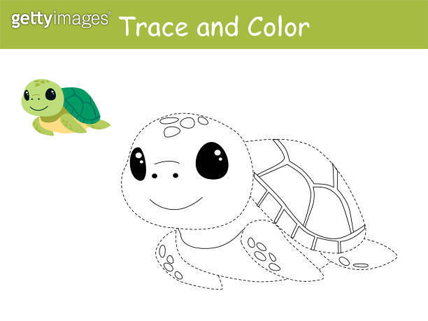 Cute green turtle undersea, sea life trace and coloring book or ...
