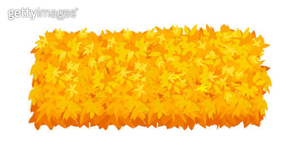Autumn garden bush, tree cartoon shrub grass bush fall flat icon ...