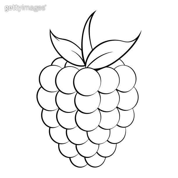 Raspberry line art illustration. Raspberry with leaves outline icon ...