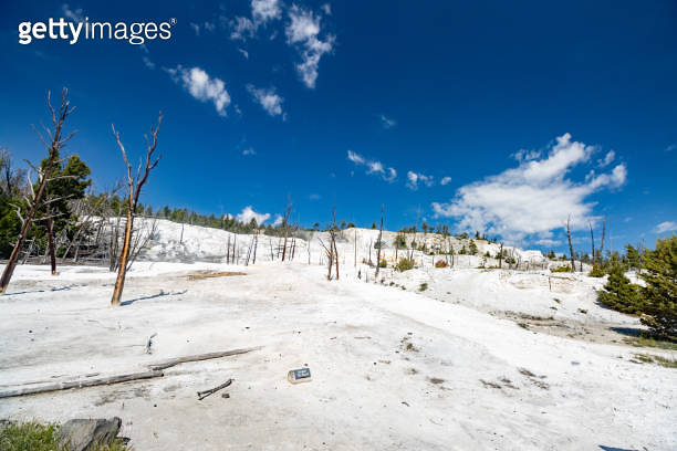 Angel Terrace at Mammoth Hot Springs in Yellowstone National Park ...