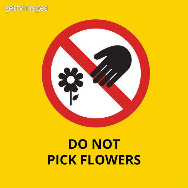 A warning sign. Do not pick flowers. Vector Illustration (1899002599 ...