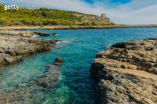 Scenic Rocky Coastline with Green Forest at Porto Selvaggio in Italy ...