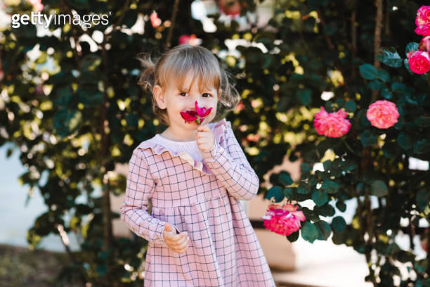 Happy cute kid girl with blooming roses outdoor 이미지 (2156375774) - 게티이미지뱅크