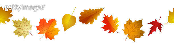 Autumn red and yellow leaves border seamless. Vector illustration ...