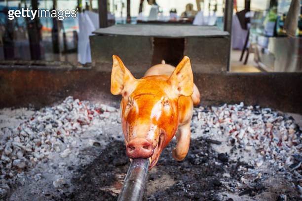 Pig barbecue roasted on a spit, Philippines 이미지 (2149092384) - 게티이미지뱅크