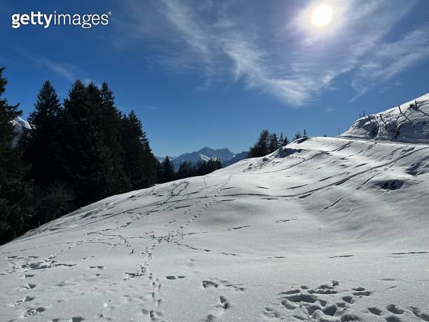Wonderful winter hiking trails and traces after the winter snowfall ...