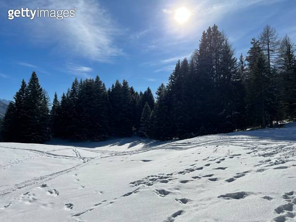 Wonderful winter hiking trails and traces after the winter snowfall ...