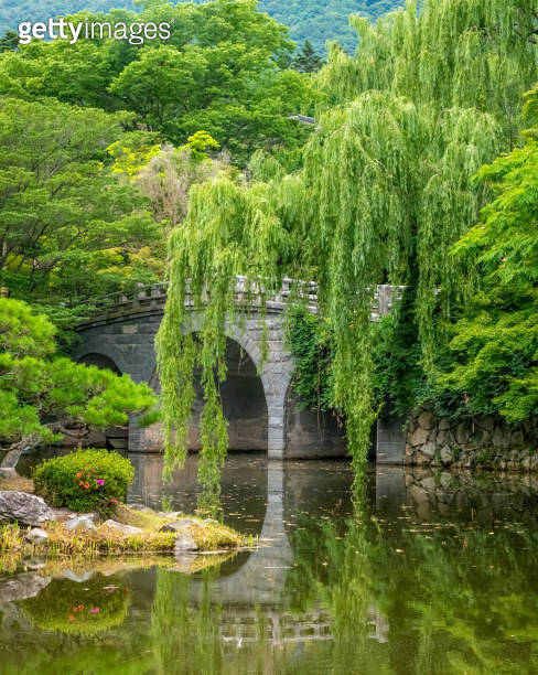 Pomd amd bridge surrounded by weeping willows in the gardens of the ...