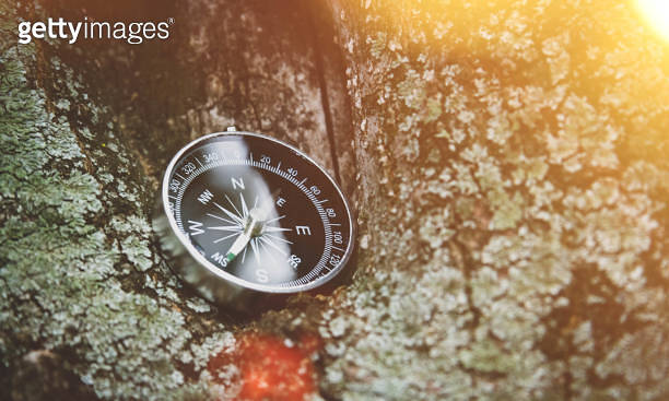 Travel and navigation. Determination of cardinal points by compass. 이미지 ...