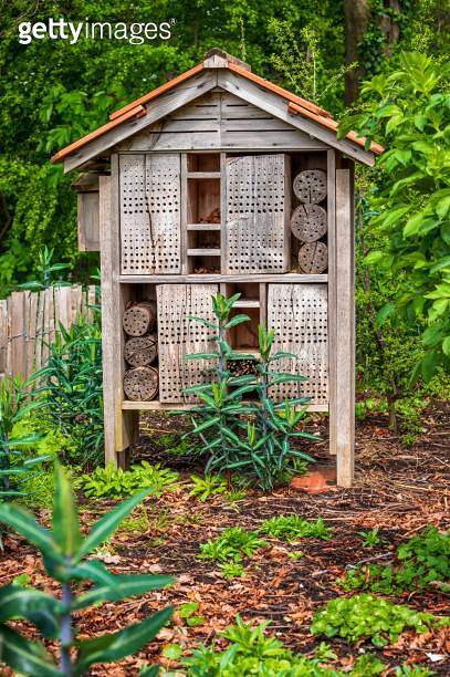 One wooden insect house in the garden. Bug hotel at the park with ...