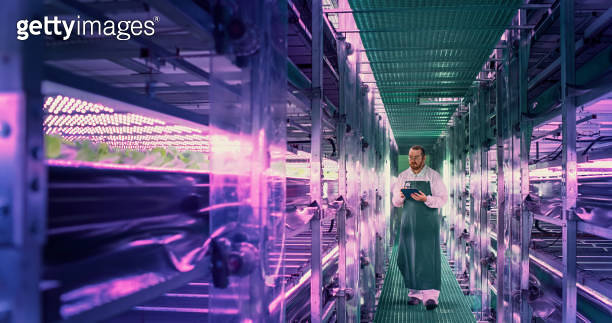 Young Farmer Working in a Vertical Farm Facility with Ultraviolet LED ...