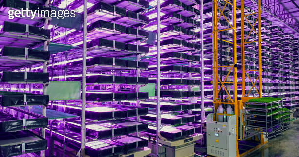 Modern Vertical Farm with Multiple Rows and Layers of Eco-Friendly ...