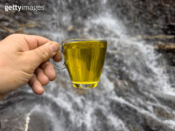 Hot yellow crocus tea drinking from a cup next to a waterfall in nature ...