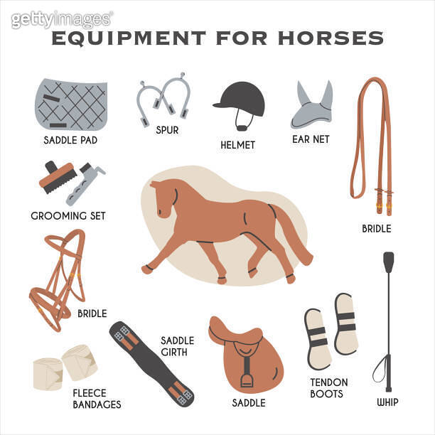 Equipment for horses infographic educational card. Horse Riding Tack and Gear Icons in Trendy ...