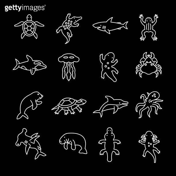 Aquatic animals, white line icons. Marine and freshwater creatures ...
