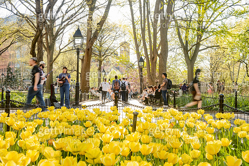Spring Flowers in Washington Park NYC 이미지 (2158127215) - 게티이미지뱅크