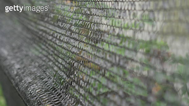 The transparent fence is made of black plastic mesh which functions to ...