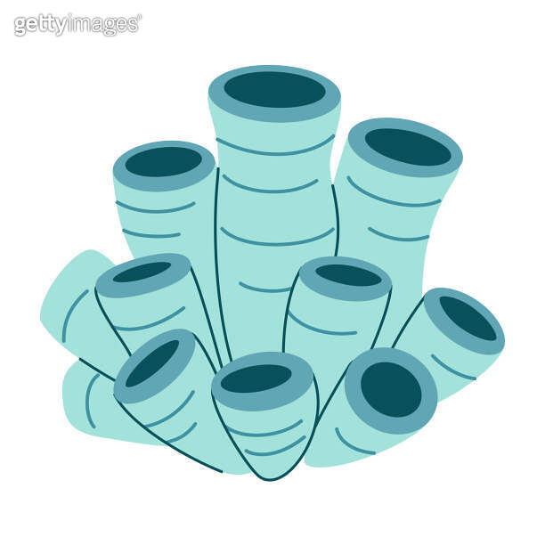 Sea sponge. Blue tube sponges 이미지 (2106872981) - 게티이미지뱅크