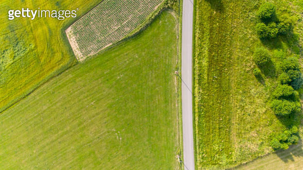 Aerial view of road through fields. Agriculture green fields and road ...